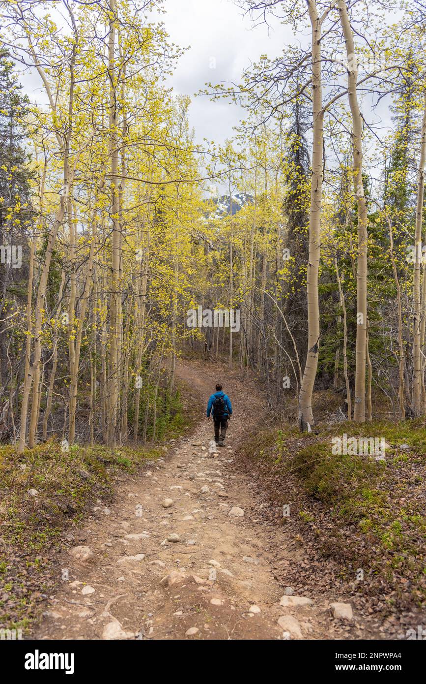 Backcountry hiking in Kluane National Park, Yukon Territory during May ...