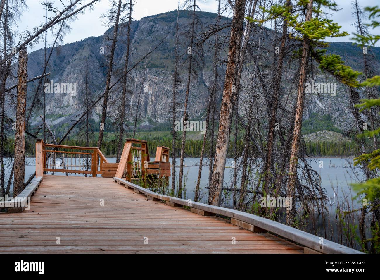 Stunning calm reflection lake scene in wilderness of Yukon Territory ...