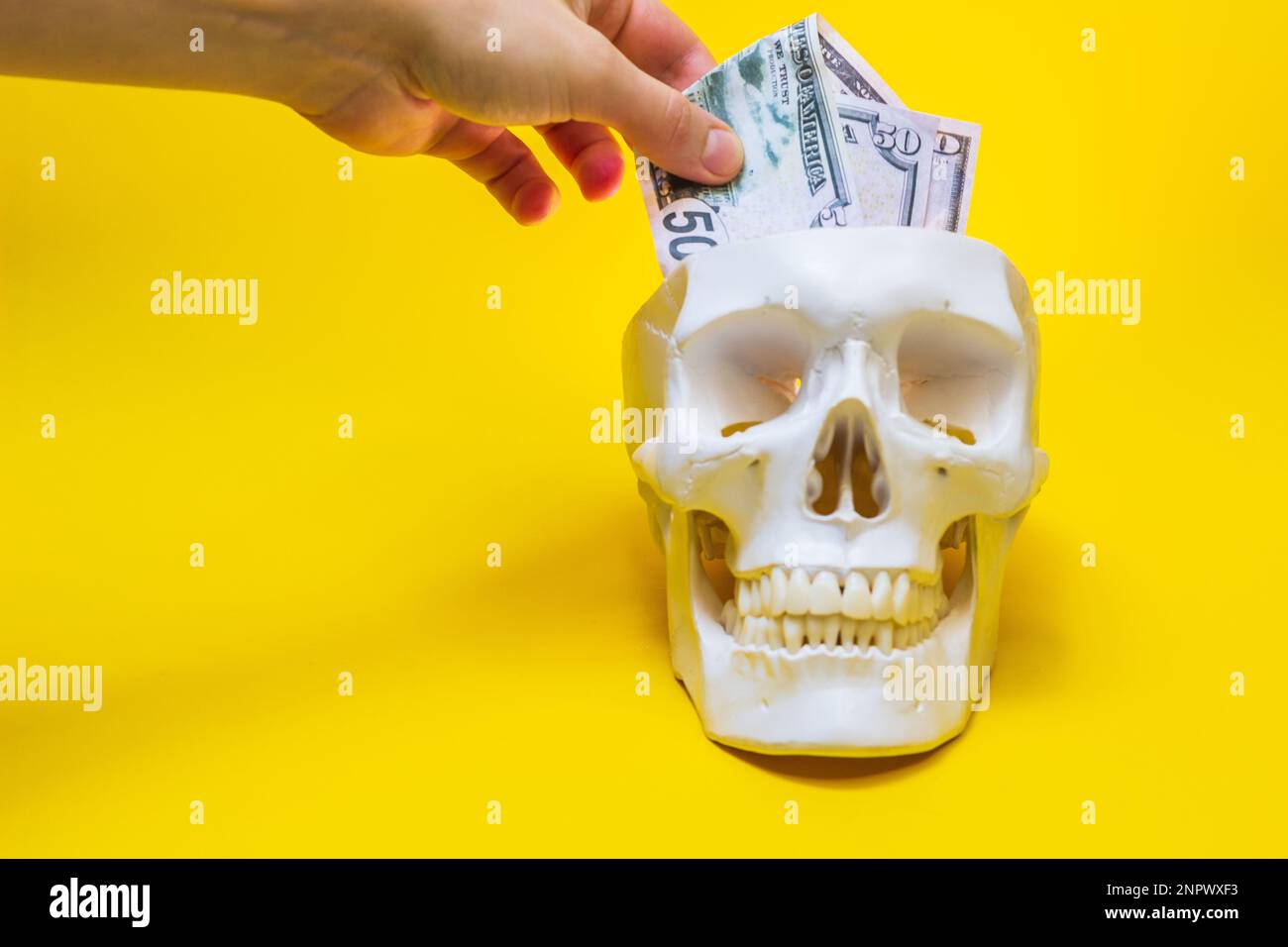 Inside bill’s brain hi-res stock photography and images - Alamy