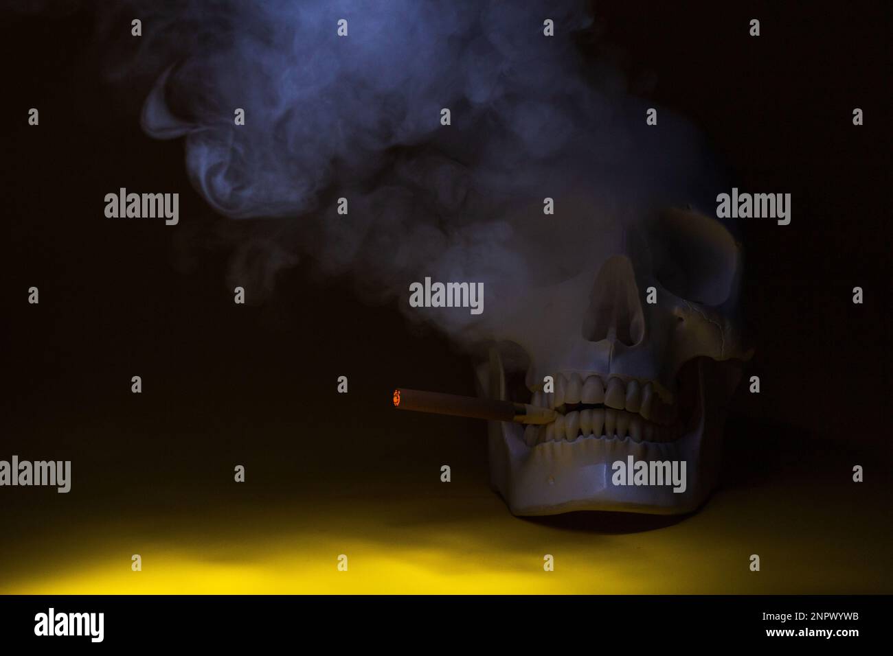 skull of a man with a cigarette bone skeleton,one object,sinister ...