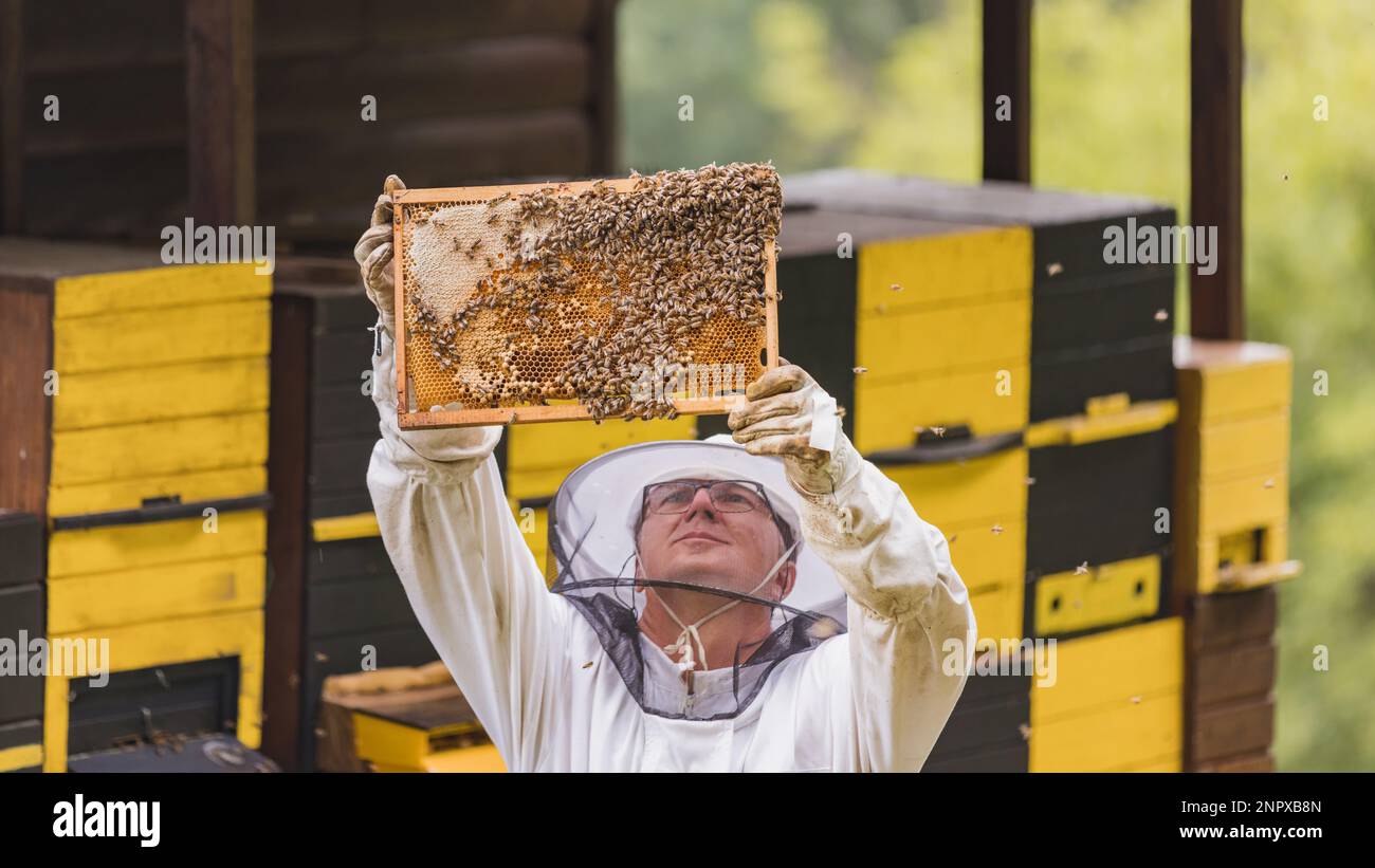 Beekeeper in full protective gear standing in front of beehive boxes ...