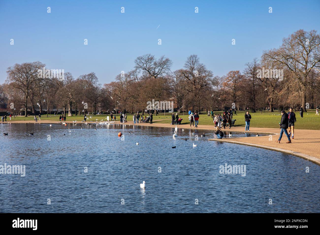 People having a walk around the Round Pond on a sunny February day in ...