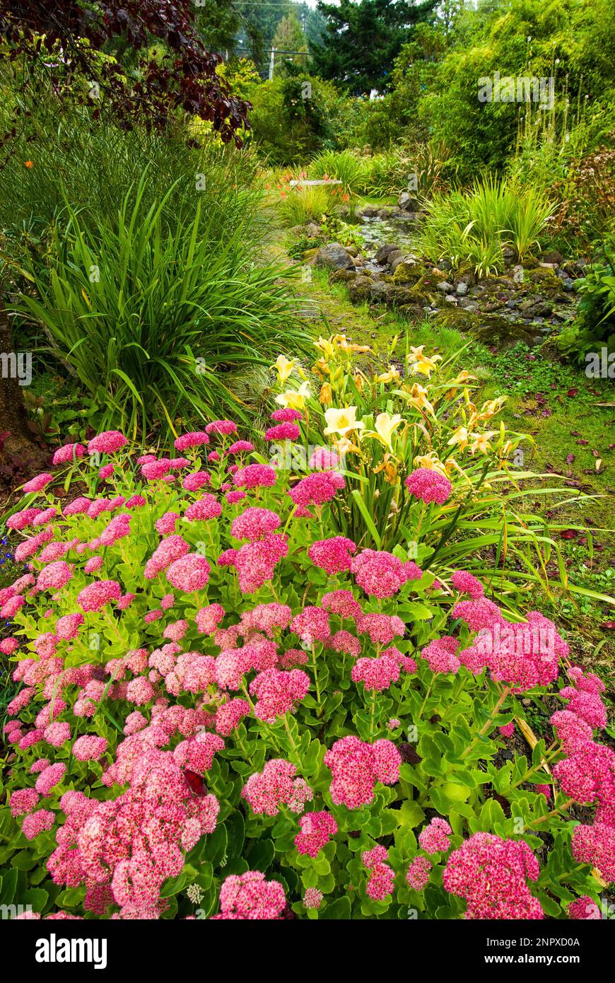 Blossoms in summer, Connie Hansen Garden, Lincoln City, Oregon Stock ...
