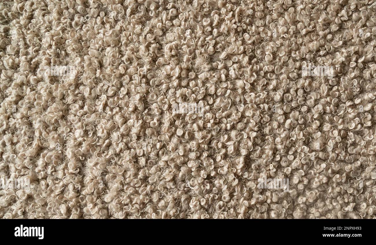 Long pile fabric hi-res stock photography and images - Alamy