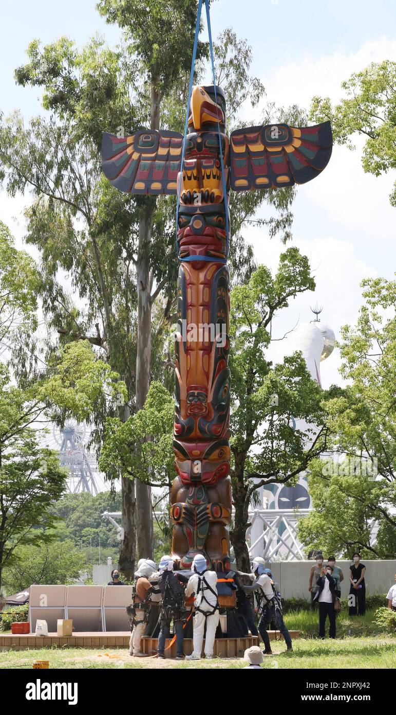 The National Museum of Ethnology, Japan erects a new totem pole from ...