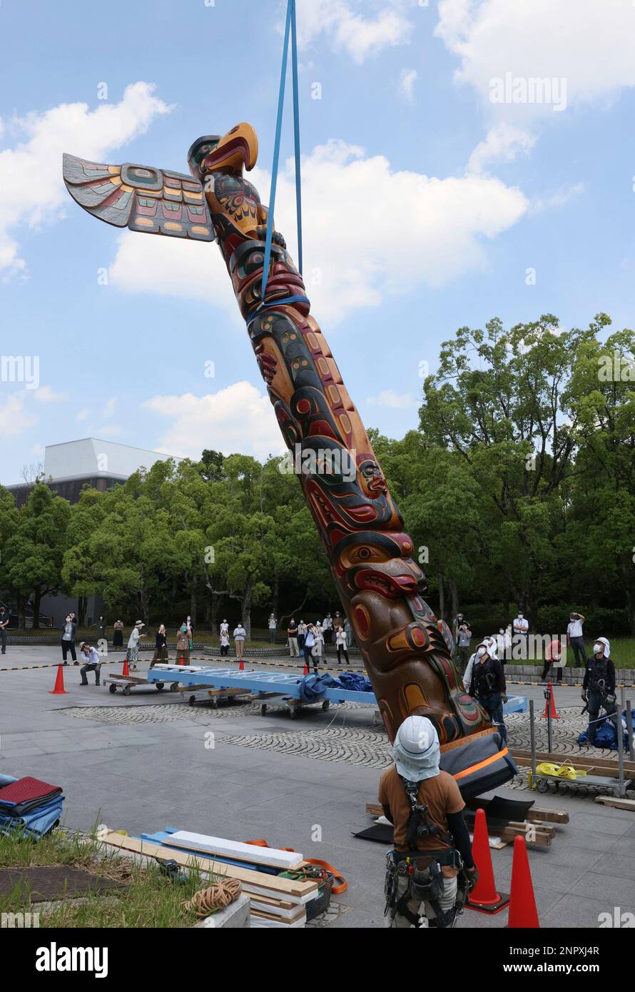 The National Museum of Ethnology, Japan erects a new totem pole from ...