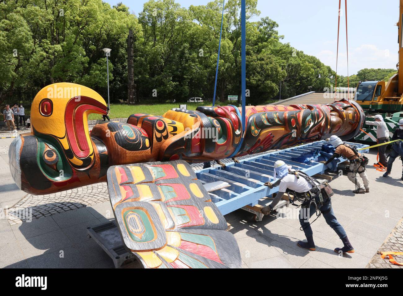 The National Museum of Ethnology, Japan erects a new totem pole from ...