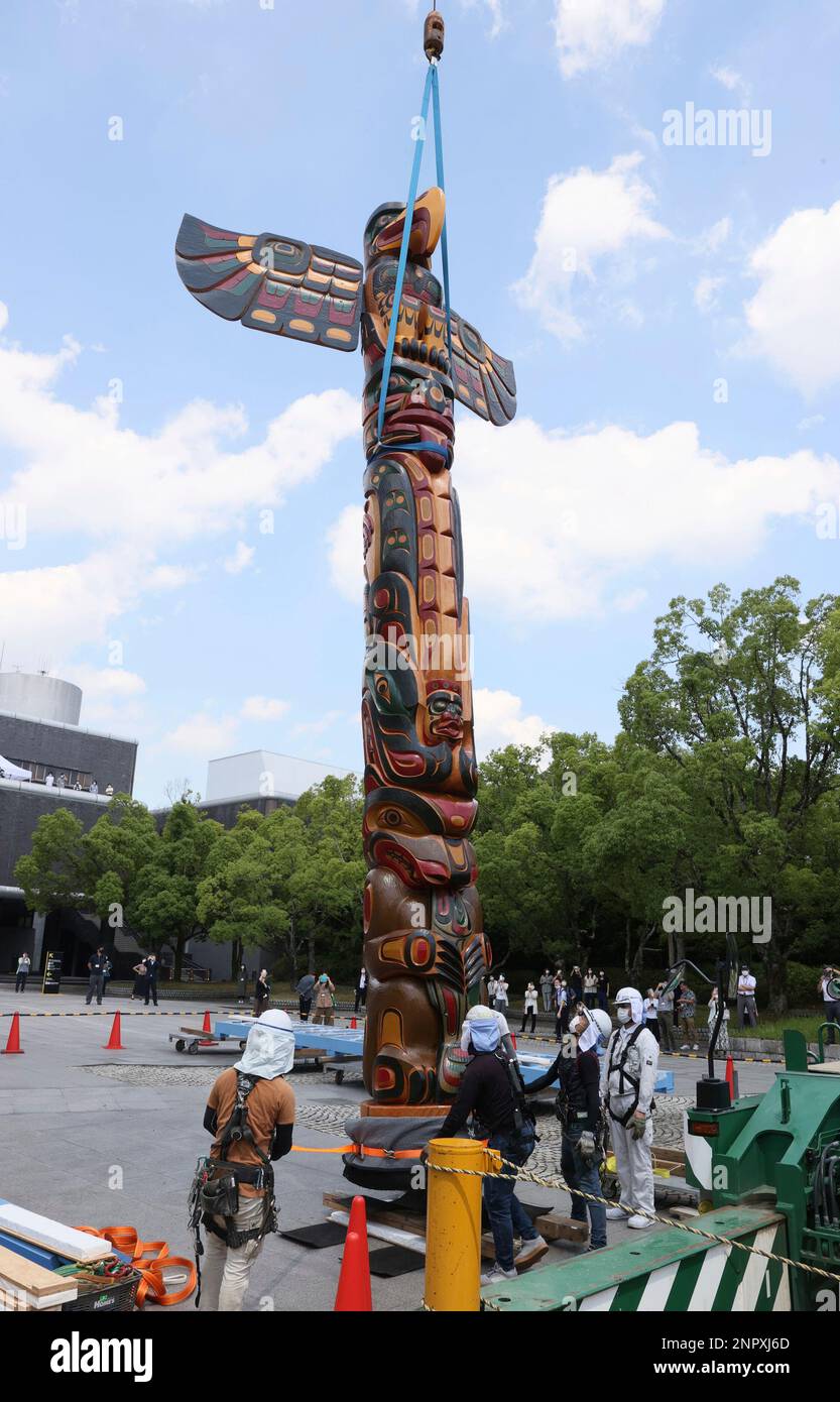 The National Museum of Ethnology, Japan erects a new totem pole from ...