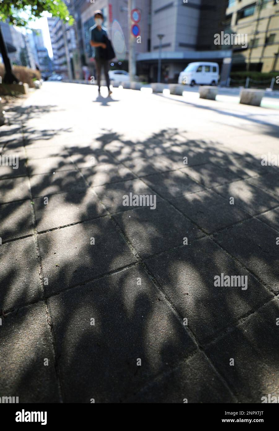A photo shows the missing shadow of the sunbeams due to the partial ...