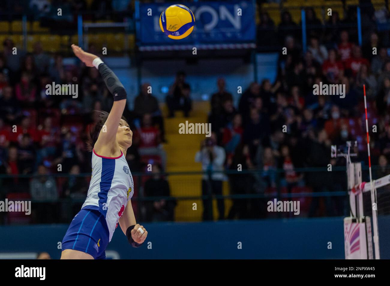 Ting Zhu (Savino Del Bene Scandicci Stock Photo - Alamy