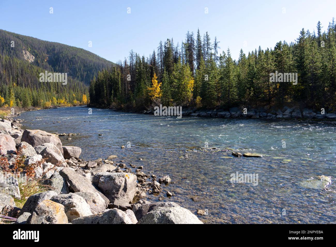 river through trees with rock shore Stock Photo - Alamy