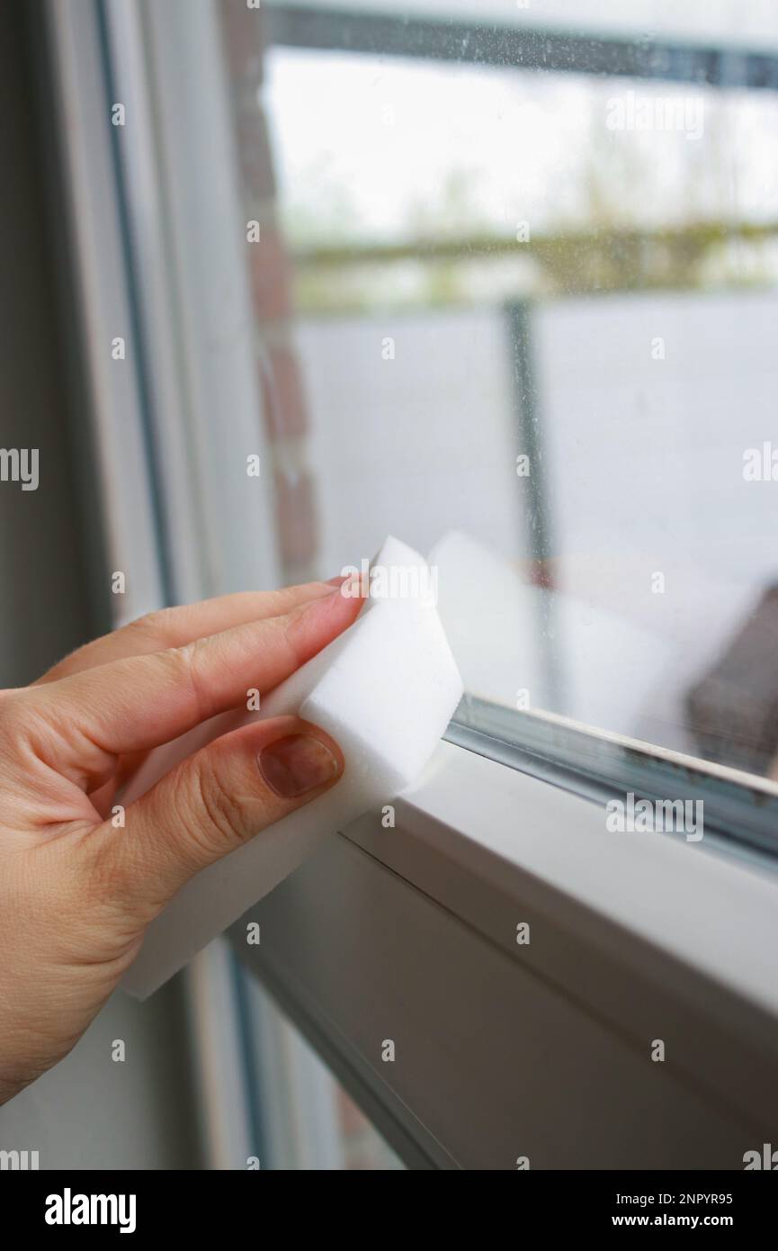 close up of a woman's hand cleaning a window with a white sponge Stock ...