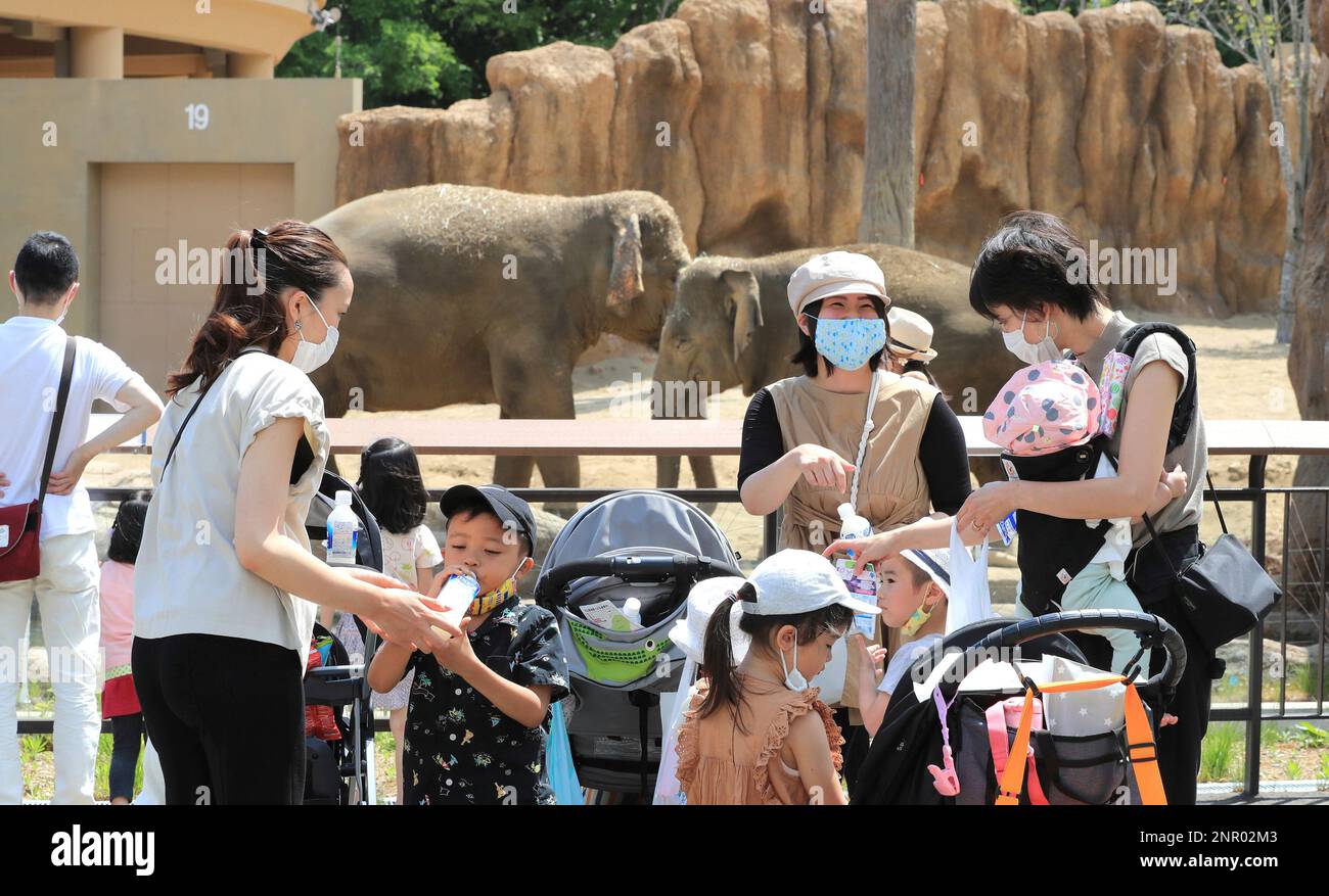 People enjoy viewing animals at Sapporo Maruyama Zoo in Sapporo ...