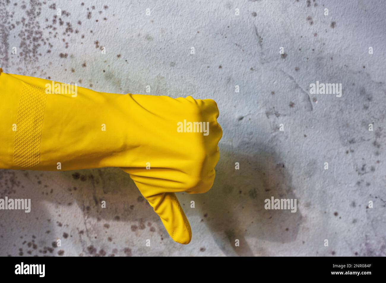 Concept of the problem of mold indoors and cleaning the walls from ...