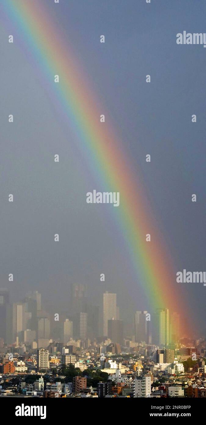 A rainbow is spanning over the high-rise buildings of Shinjuku Ward ...