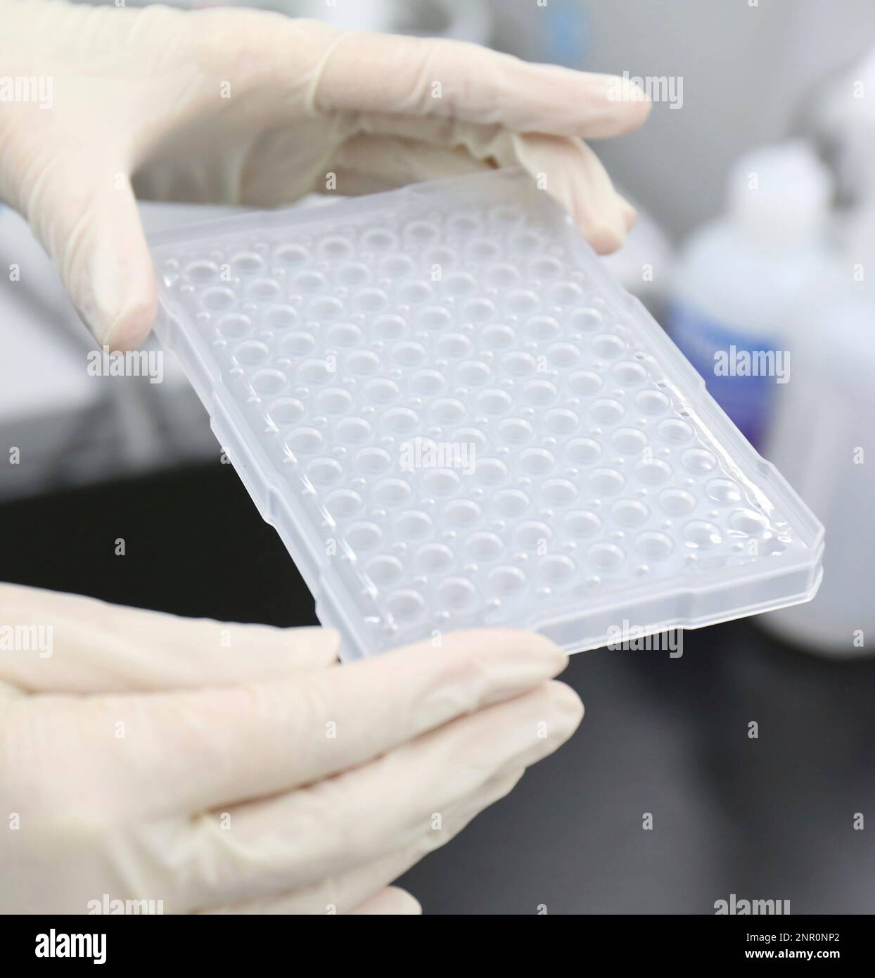PCR (polymerase chain reaction) test of new coronavirus is replicated ...