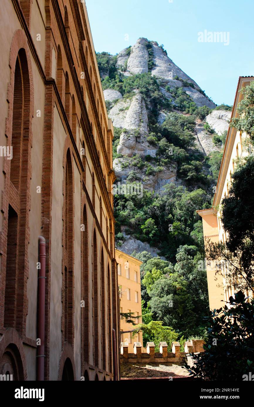 peak of a mountain of stones and green vegetation seen at the bottom of ...