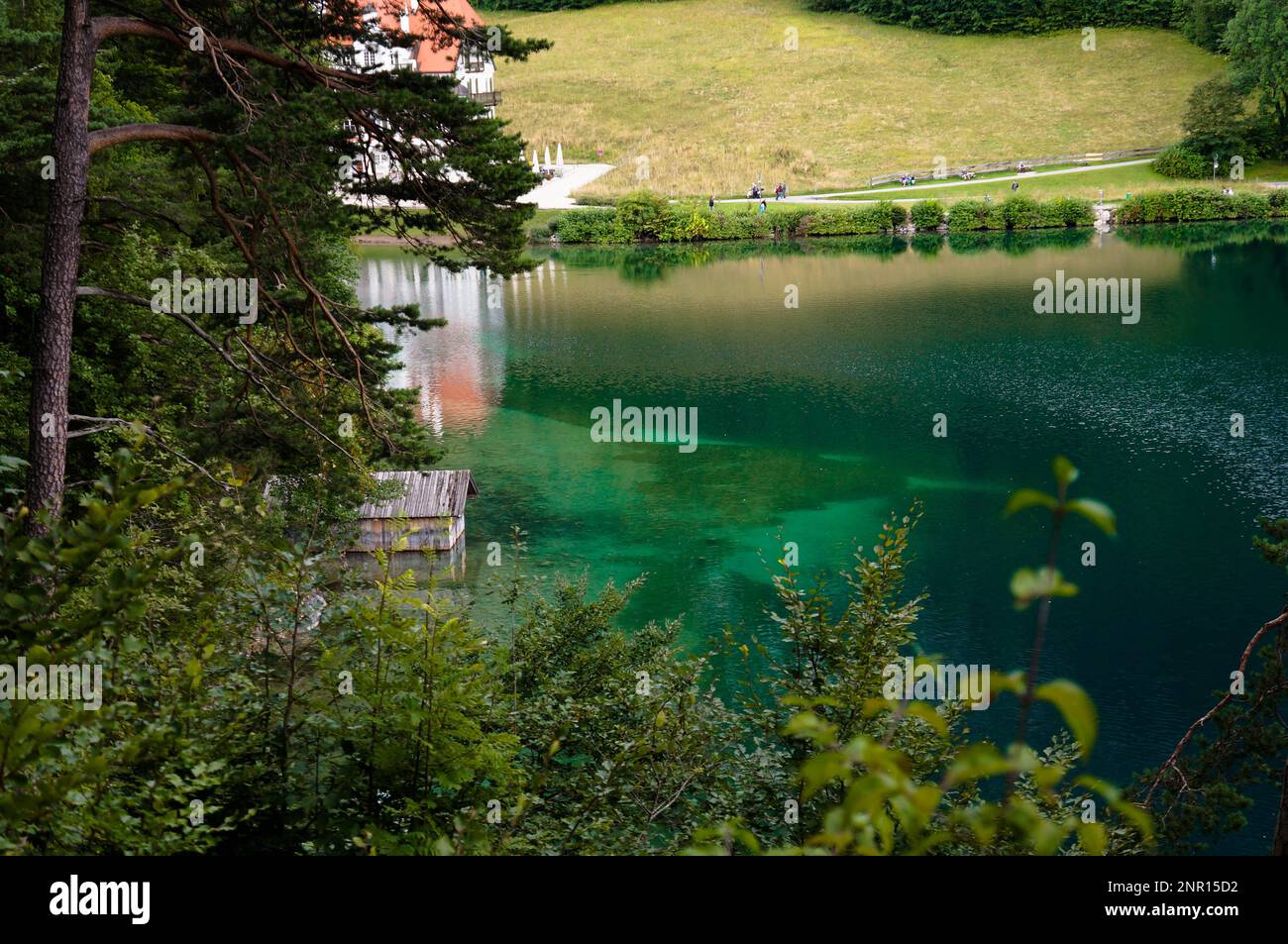 A large lake of blue-green water surrounded by a forest of trees that ...
