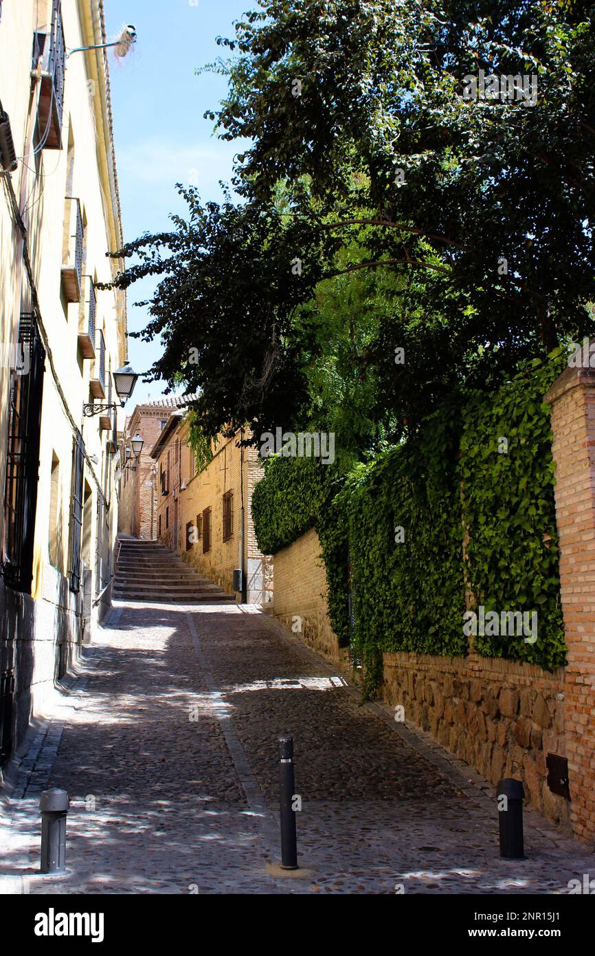 a picturesque medieval alley with a stone wall covered with vegetation ...