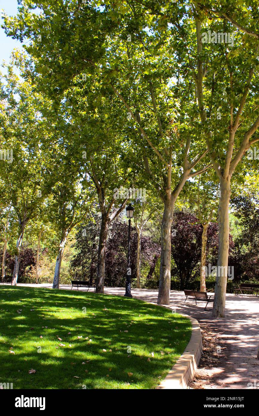 A beautiful park with lots of greenery and a small path paved with ...