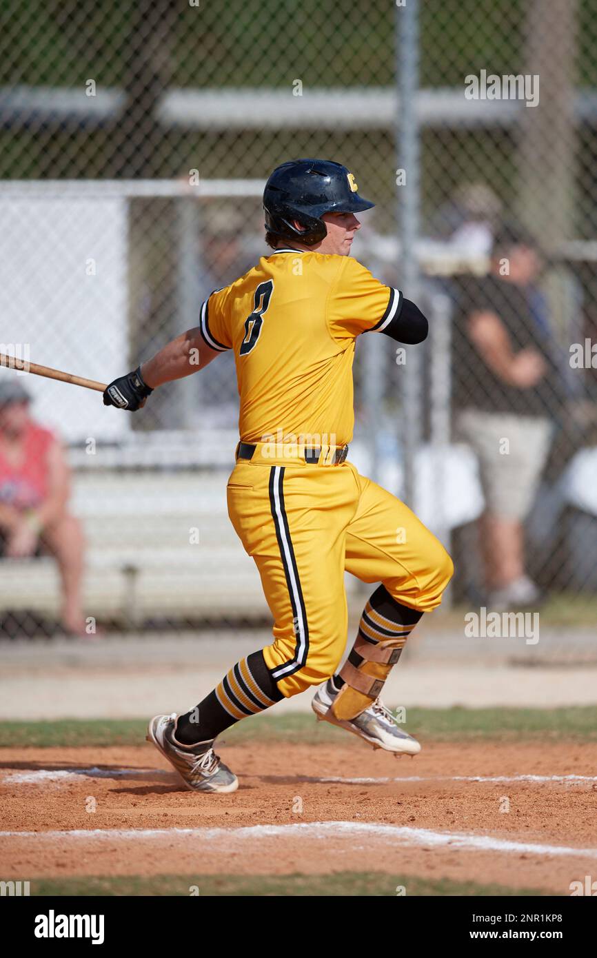 Cole Messina (8) during the WWBA World Championship at the Roger Dean ...