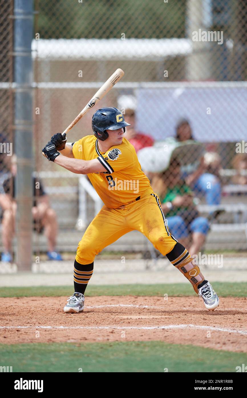 Cole Messina (8) during the WWBA World Championship at the Roger Dean ...