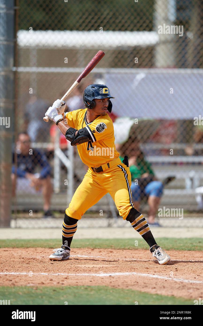Dominic Johnson (4) during the WWBA World Championship at the Roger ...