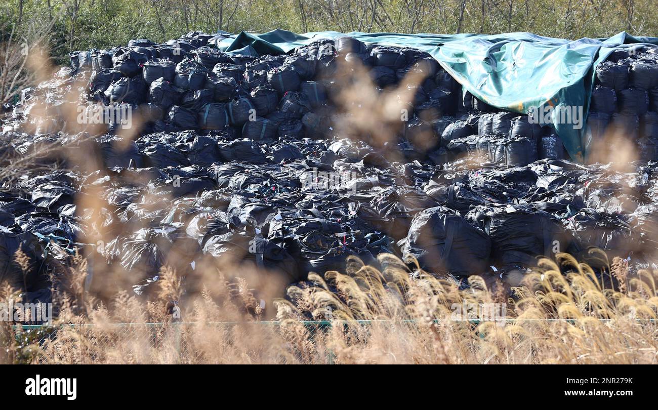 Flexible container bags containing decontaminated soil are stored at an ...