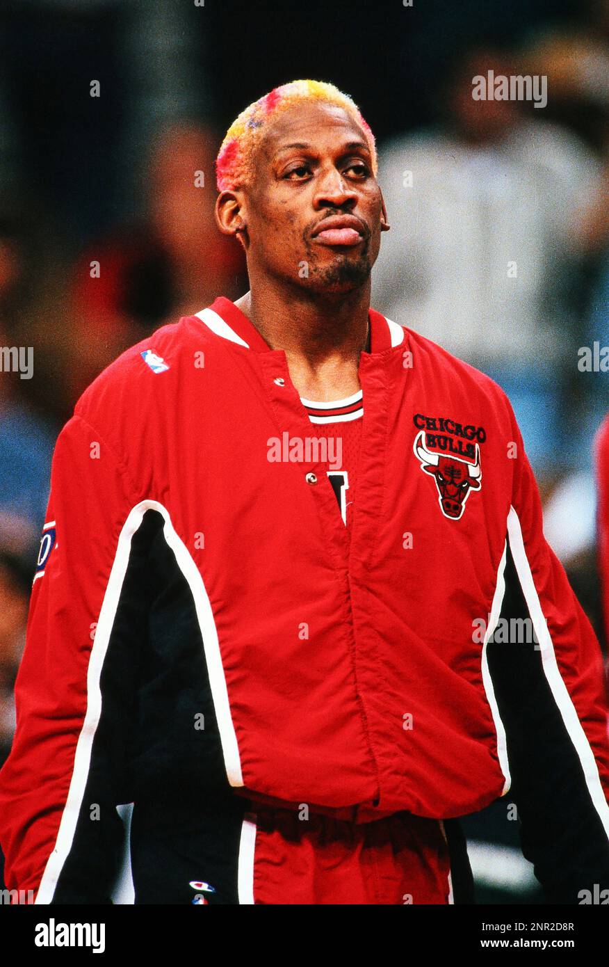 Chicago Bulls Dennis Rodman plays in a NBA game against the Miami Heat ...