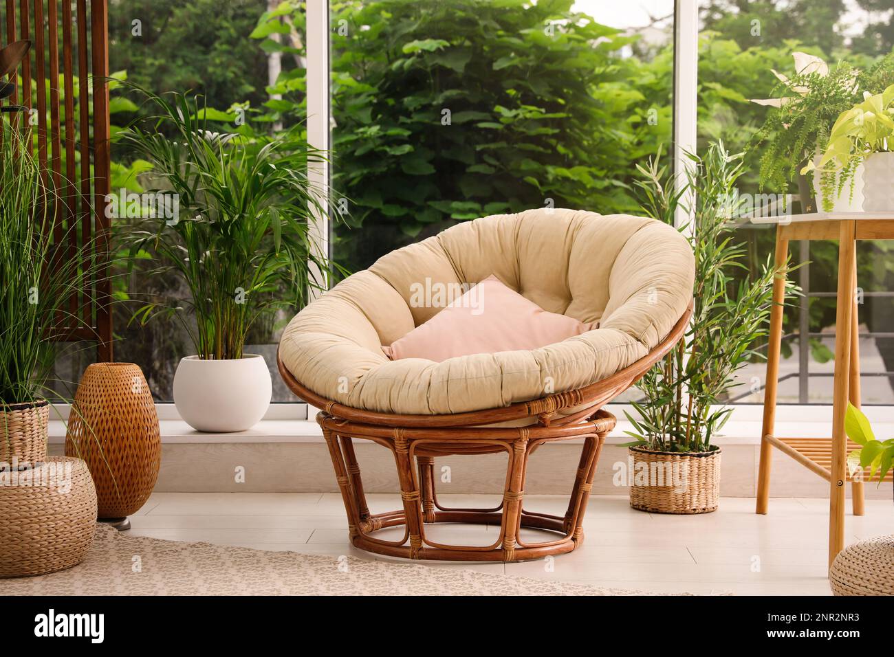 Indoor terrace interior with soft papasan chair and green plants Stock ...