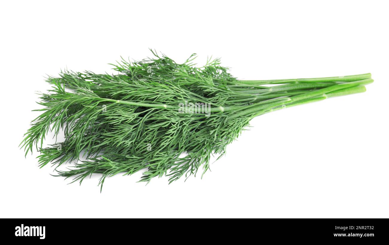 Bunch of fresh dill on white background Stock Photo - Alamy