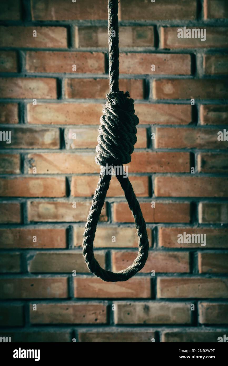 Rope noose with knot hanging near brick wall Stock Photo - Alamy