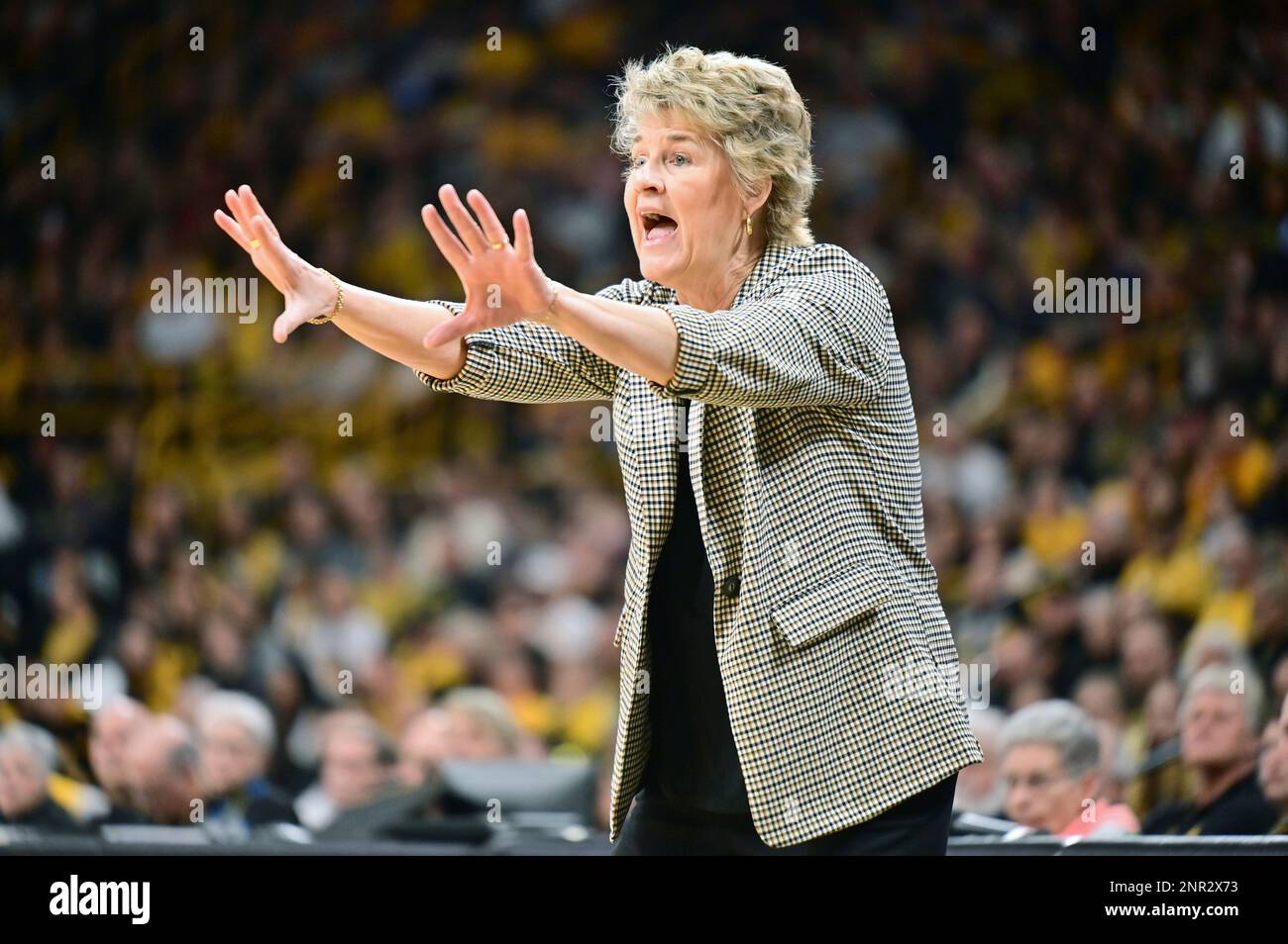 IOWA CITY, IA - FEBRUARY 26: Iowa coach Lisa Bluder reacts to her team ...
