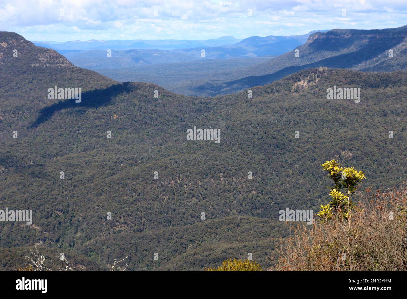 Landscape of the vast wilderness of the Blue Mountains National Park ...