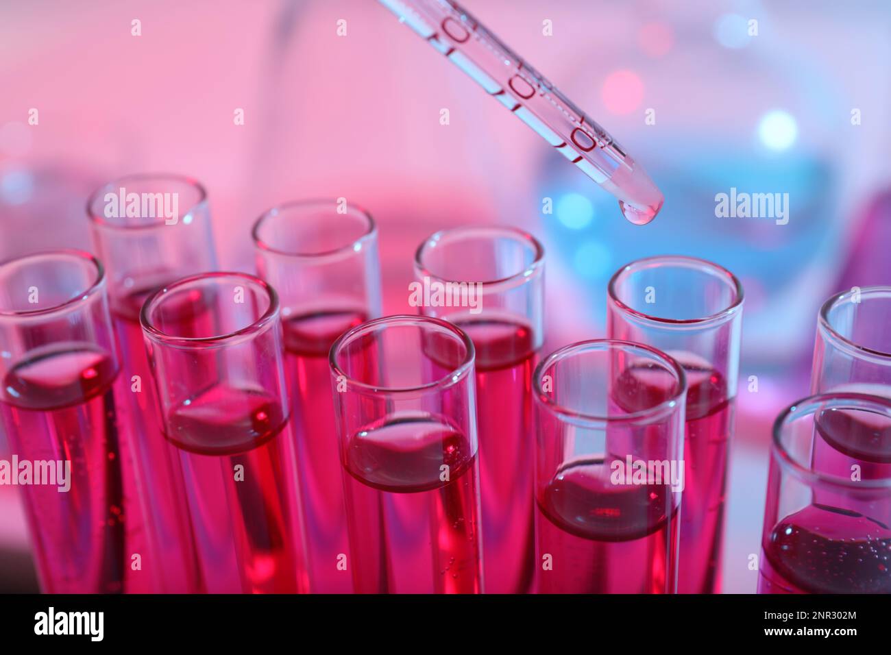 Dripping reagent into test tube with red liquid, closeup. Laboratory ...