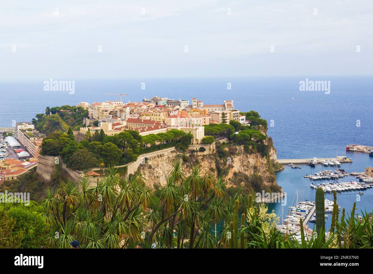Prince's Palace and Monaco-Ville, exotic garden and marina with ...