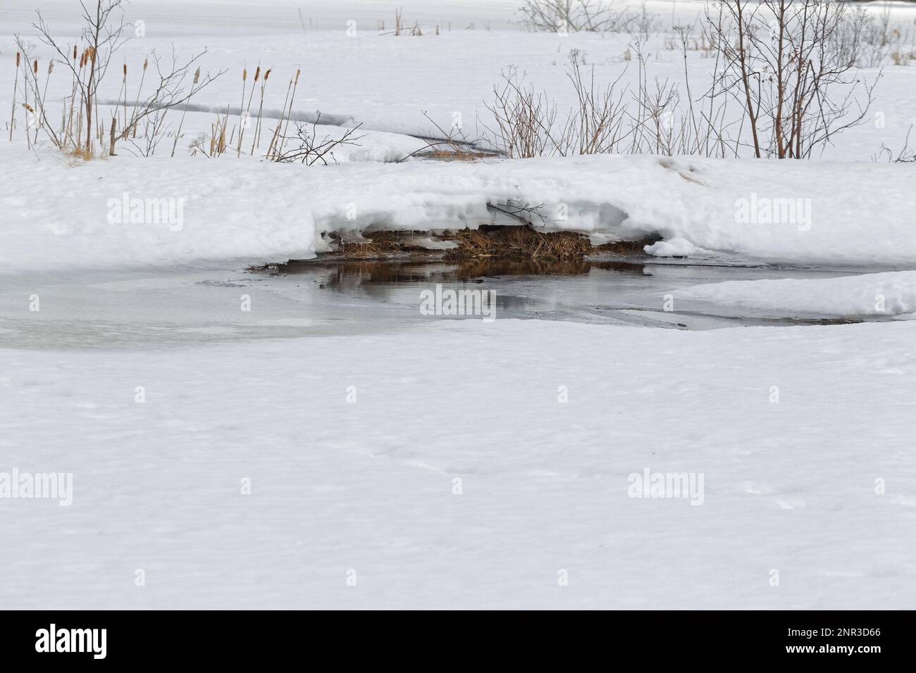 Spring thaw in canada hi-res stock photography and images - Alamy