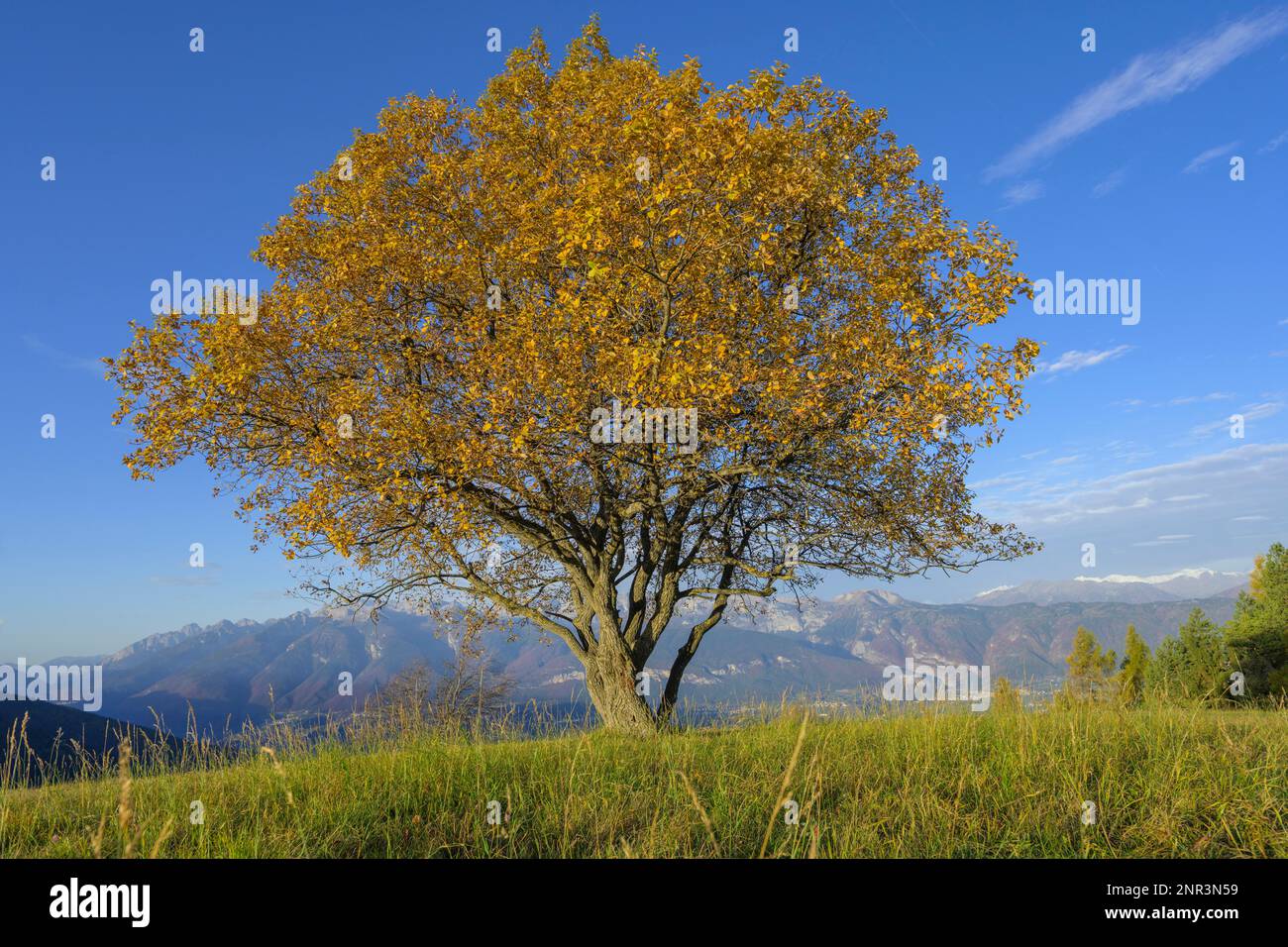 Refugio individual hi-res stock photography and images - Alamy