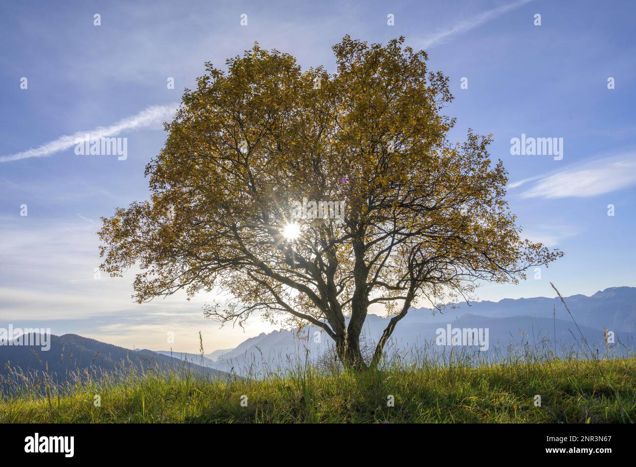 Refugio individual hi-res stock photography and images - Alamy