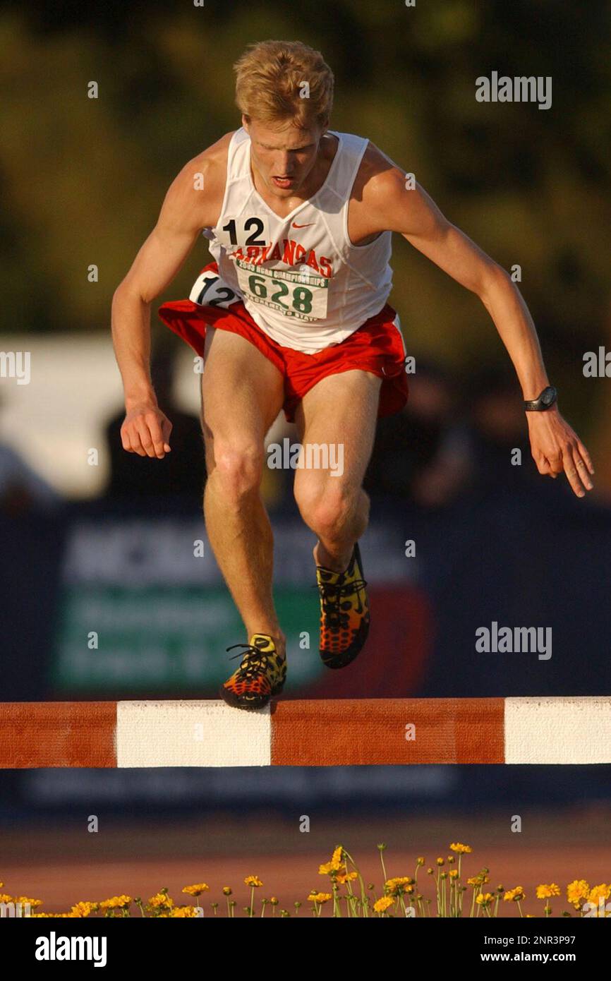 Daniel Lincoln in the steeplechase preliminaries in the NCAA track and ...