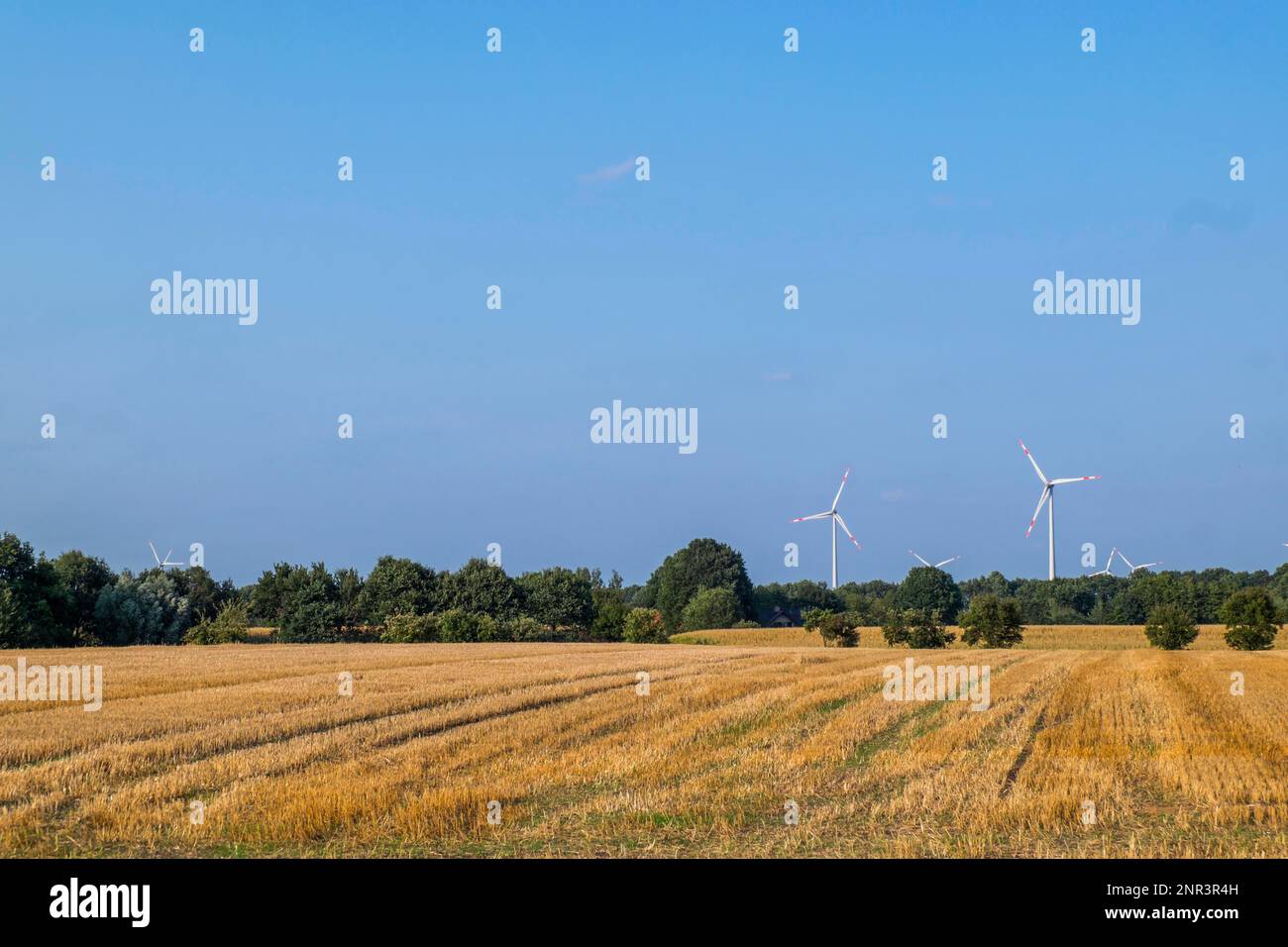 Wind turbine field grain hi-res stock photography and images - Alamy