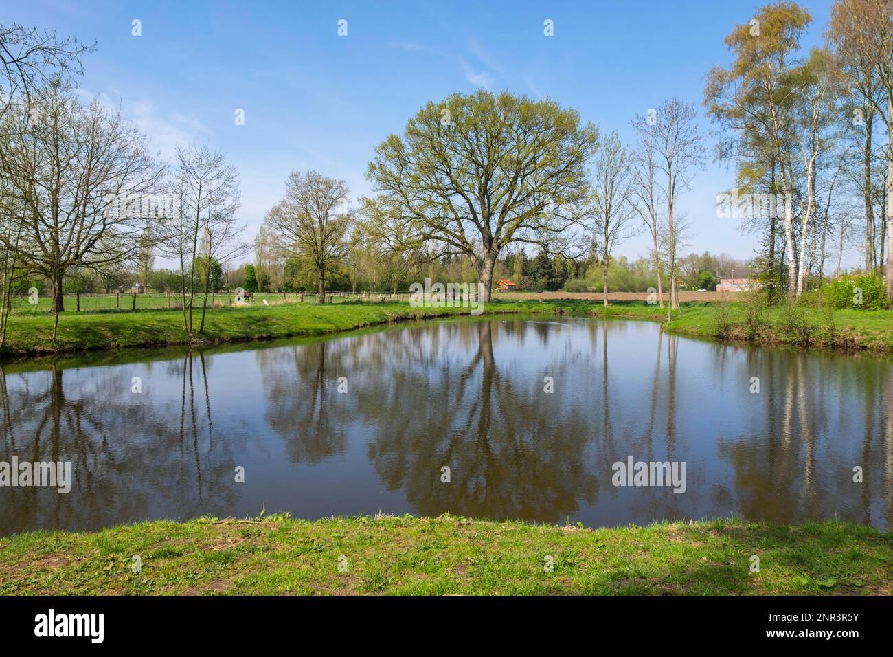 Water spring small pond hi-res stock photography and images - Alamy