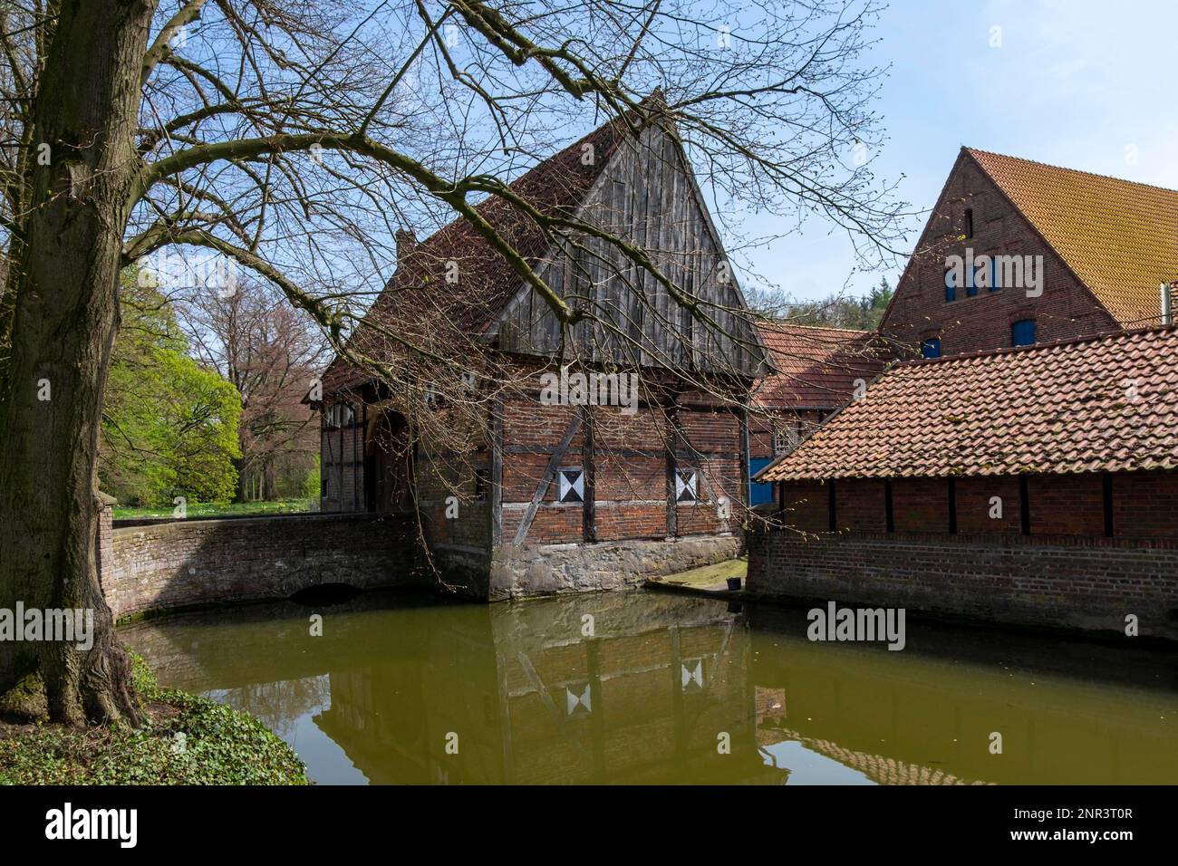 Spring at the House Round Stock Photo - Alamy