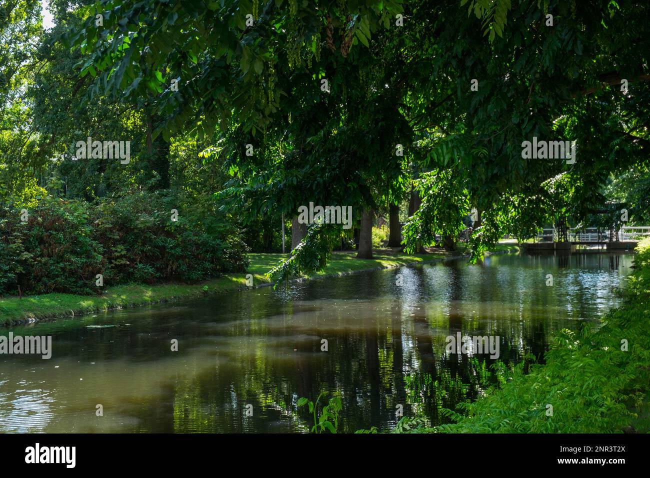 The Berkel in Borculo, Netherlands Stock Photo - Alamy