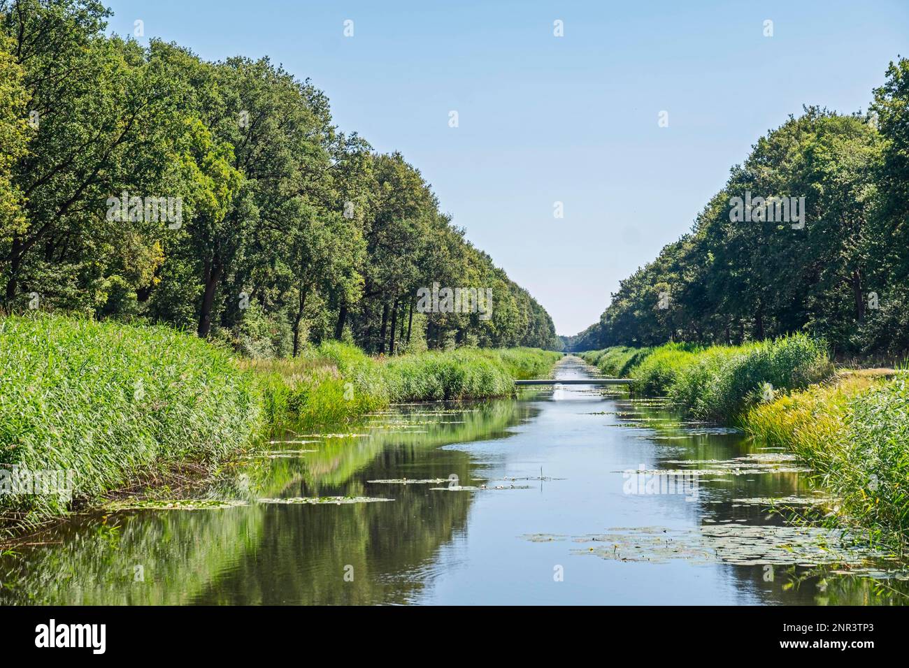 Dutch drainage canal hi-res stock photography and images - Alamy