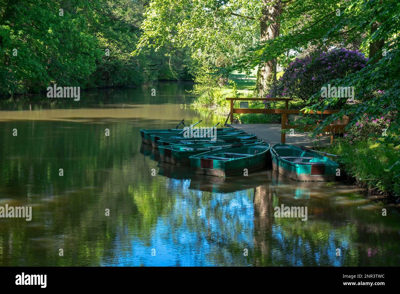 Canoes on the Alstaetter Aa, Haarmuehle, Alstaette, Ahaus, Muensterland ...
