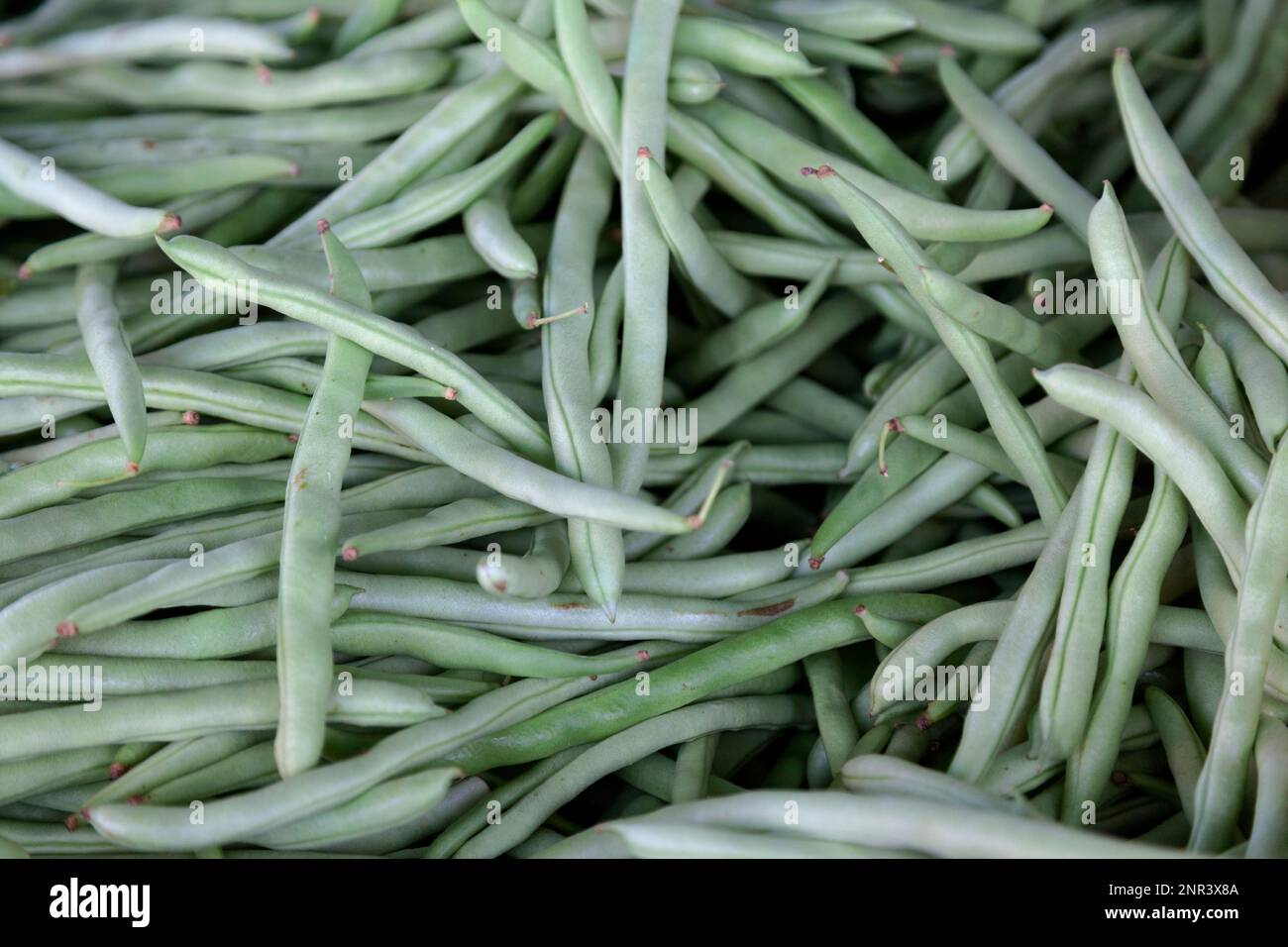 Stack of Green Beans on a market stall Stock Photo - Alamy
