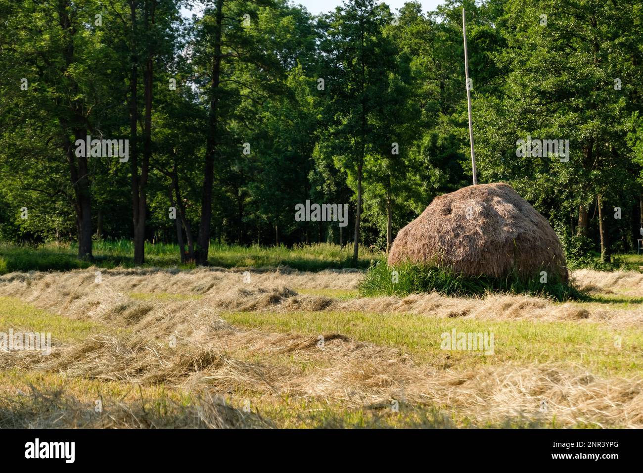 Spreewald Biosphere Reserve Holiday Region Traditional Haystack Stock ...