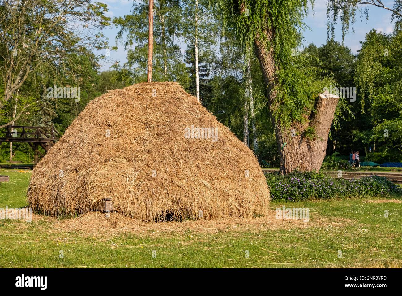 Spreewald Biosphere Reserve Holiday Region Traditional Haystack Stock ...