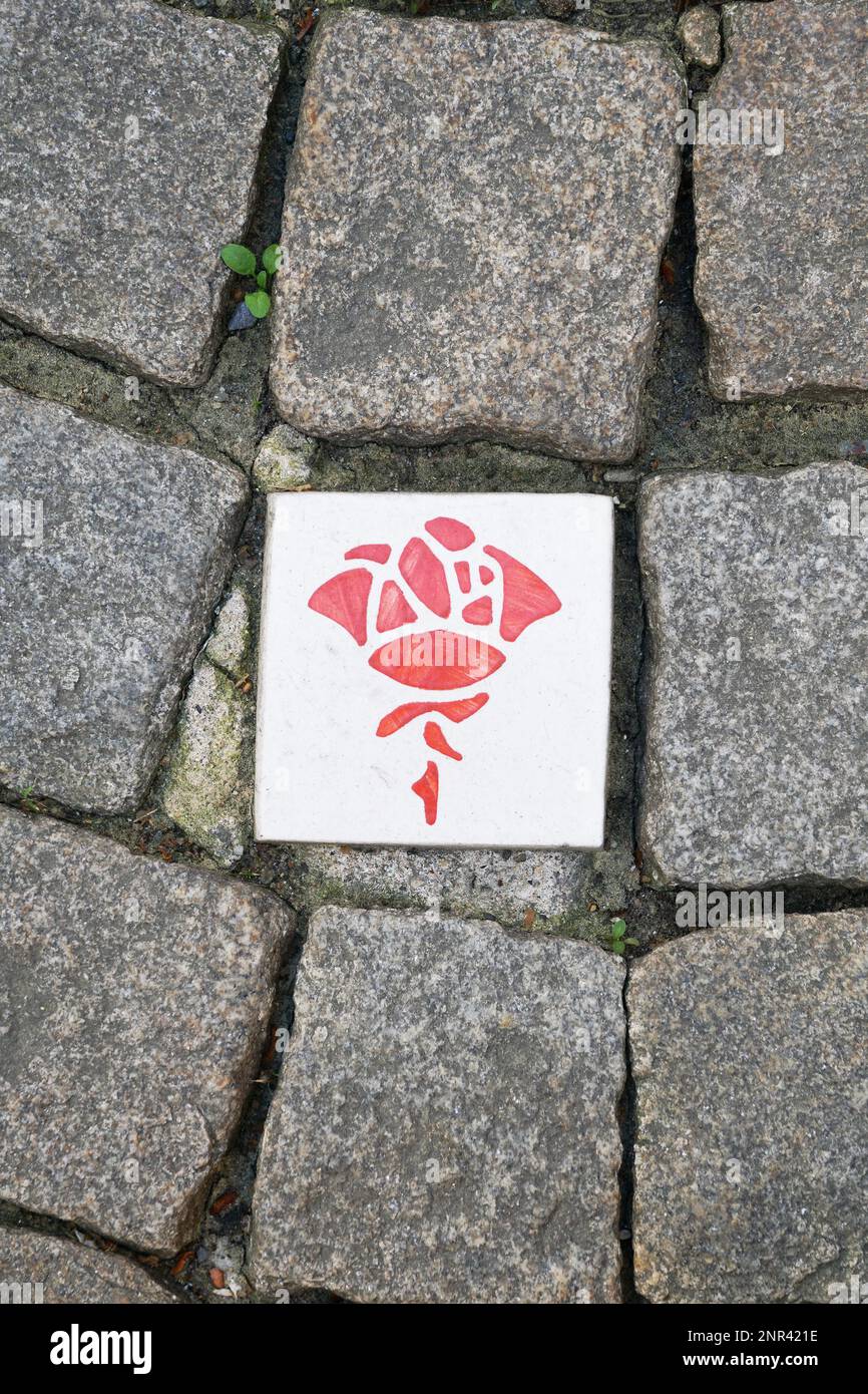 rose route in Hildesheim Germany, paving stones with ceramic plaques ...